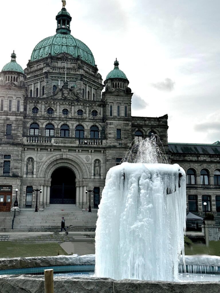 Frozen fun: 14 frosty captures of Victoria's icy adventures over the ...