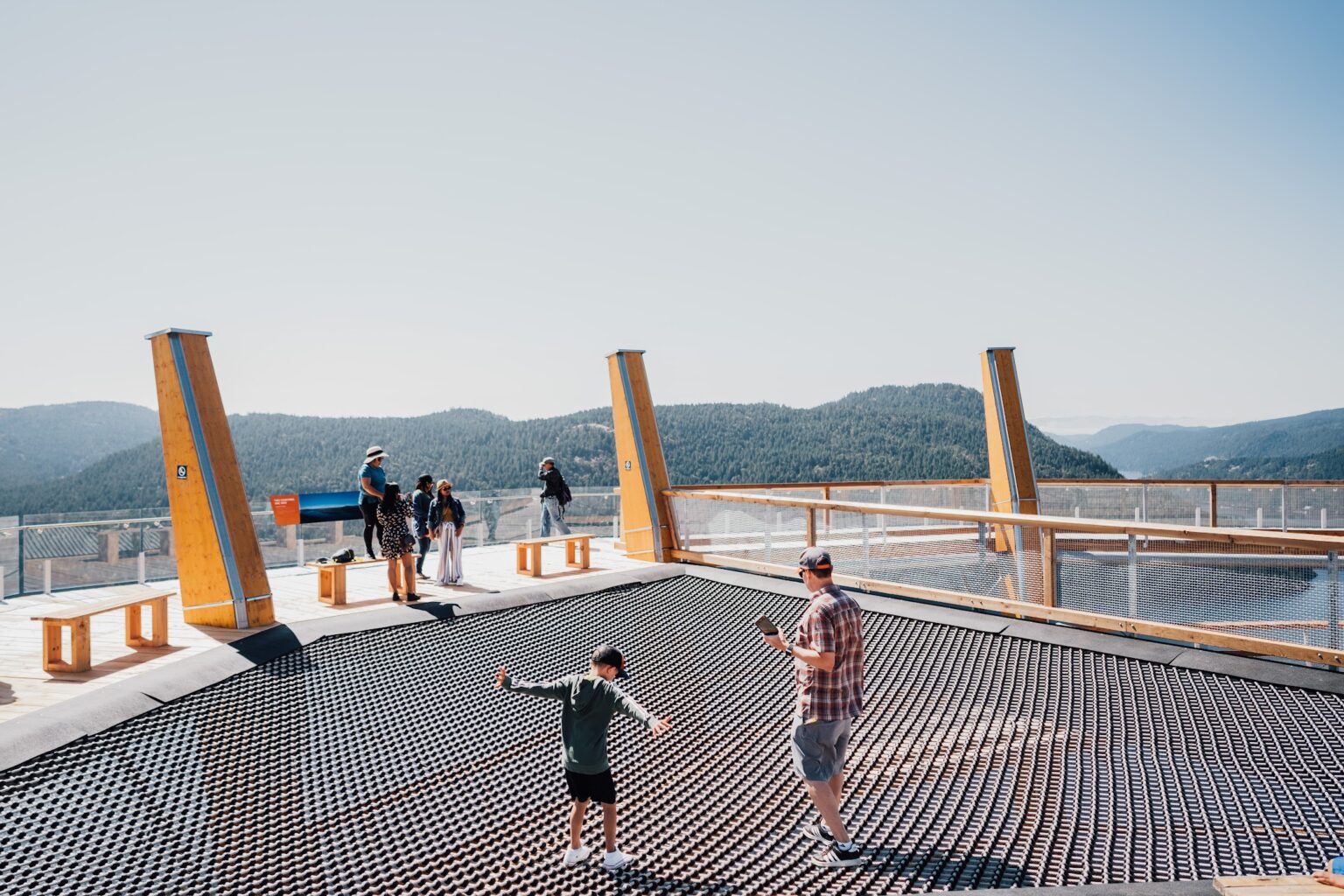 7 things you might not know about Greater Victoria's Malahat Skywalk