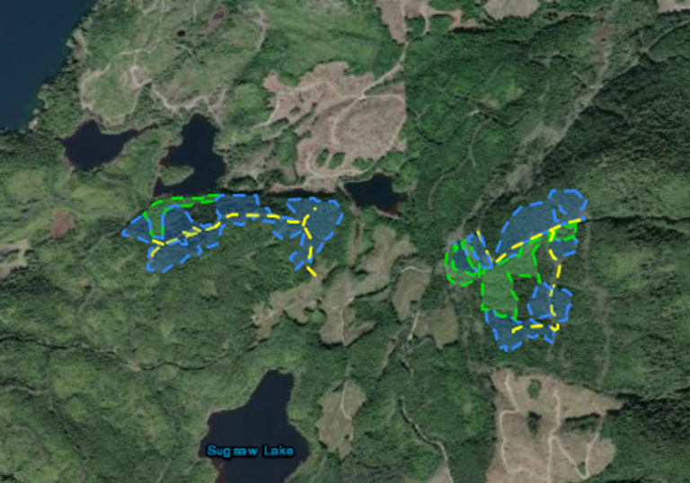 BC launches online forestry map to allow for people to see proposed ...