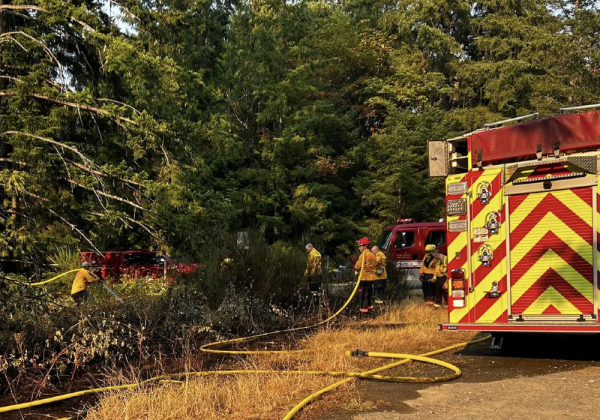 Smoke sighting leads to quick action from Mill Bay and Malahat Fire Rescues